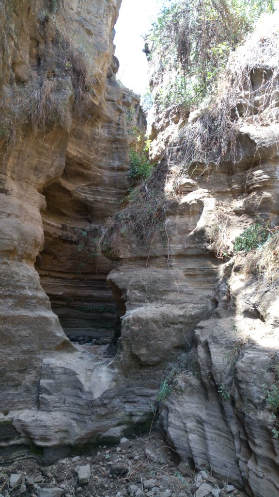 Kenya is one of a kind - The Eco Advocate