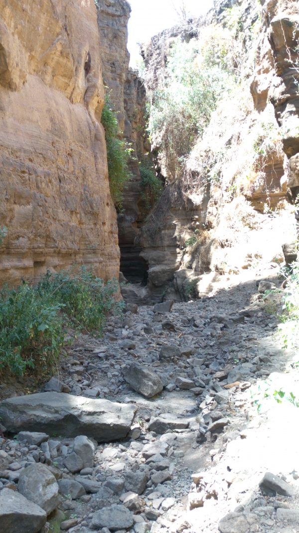 Once Upon Time, It Was A River - The Eco Advocate