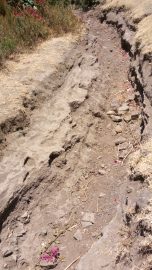 Once Upon Time, It Was A River - The Eco Advocate