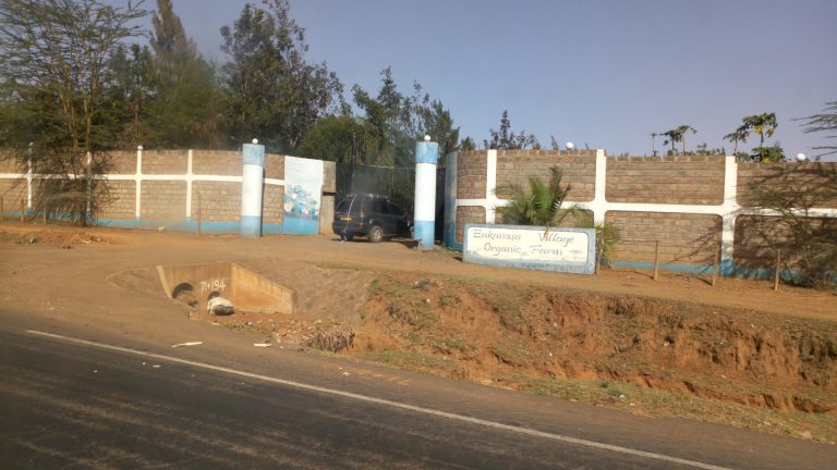 Interesting things to enjoy in Maasai Land (Narok) - The Eco Advocate