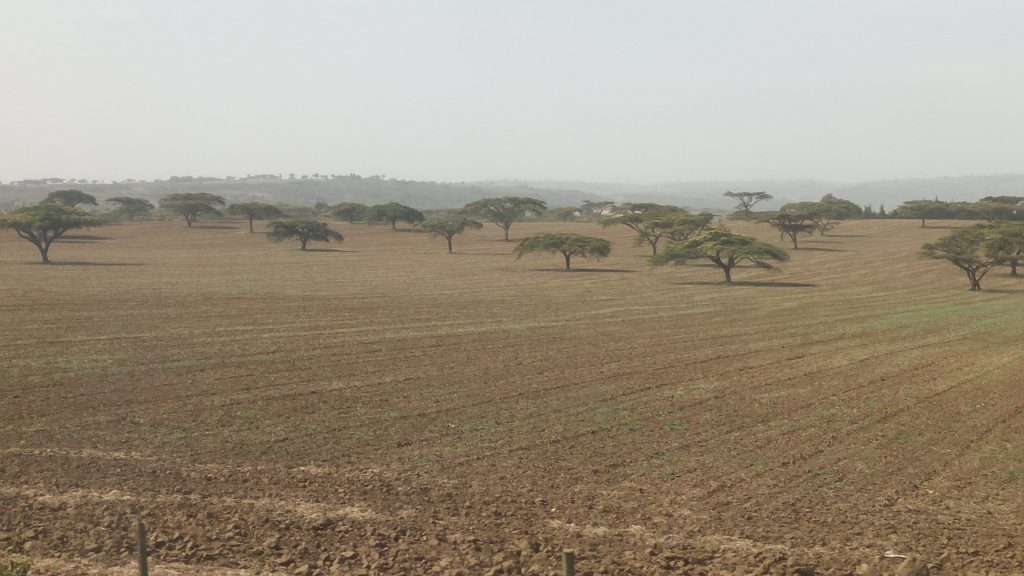 Interesting things to enjoy in Maasai Land (Narok) | Cheche Winnie