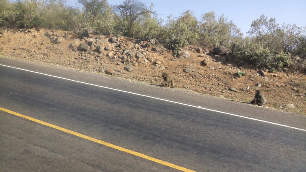 Interesting things to enjoy in Maasai Land (Narok) - The Eco Advocate