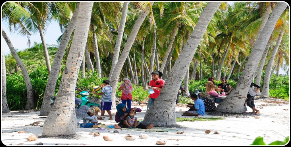 Conservation Education and Awareness - The Eco Advocate