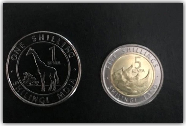 Our Coins Our Heritage - The Eco Advocate