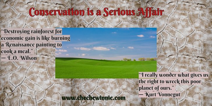 Conservation is a Serious Affair - The Eco Advocate