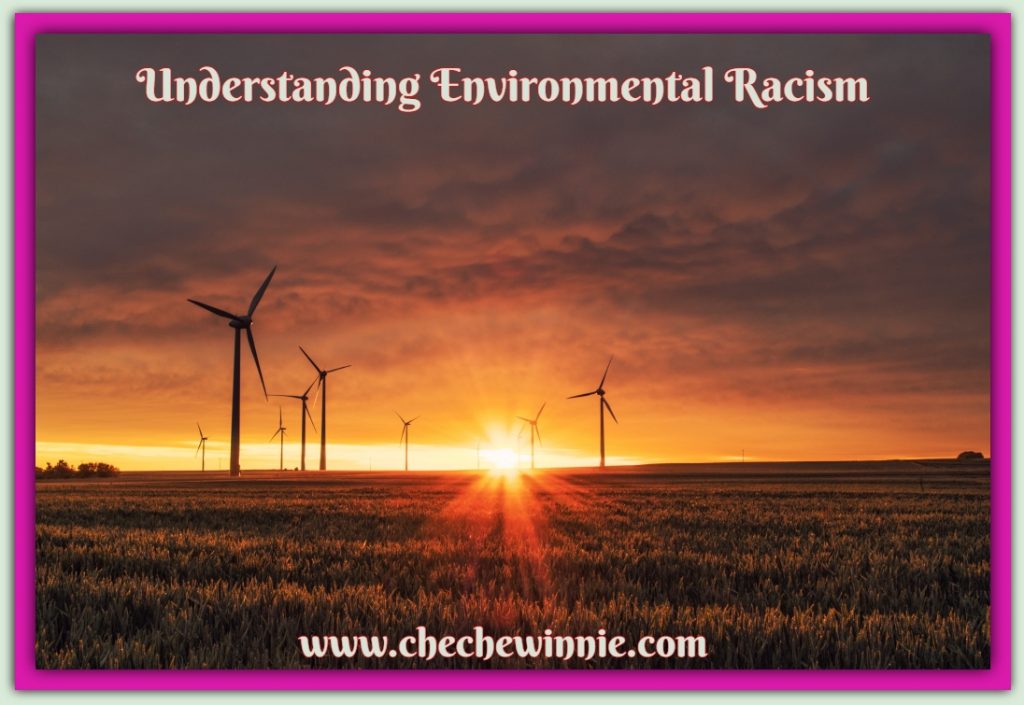 Understanding Environmental Racism (Re-Post) - The Eco Advocate