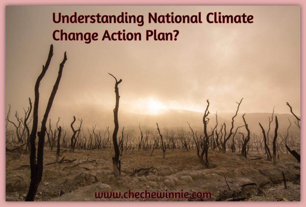 Understanding the National Climate Change Action Plan - The Eco Advocate