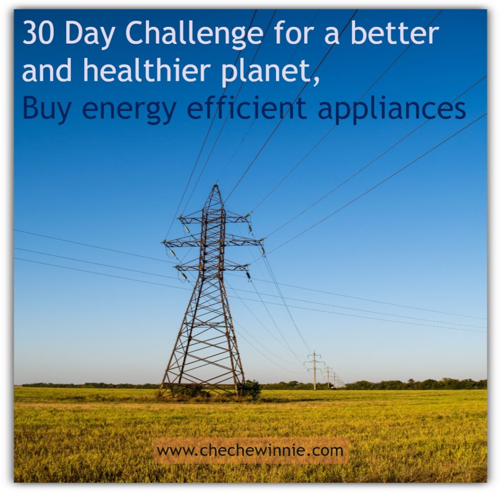 30 Day Challenge for a better and healthier planet, Buy energy ...