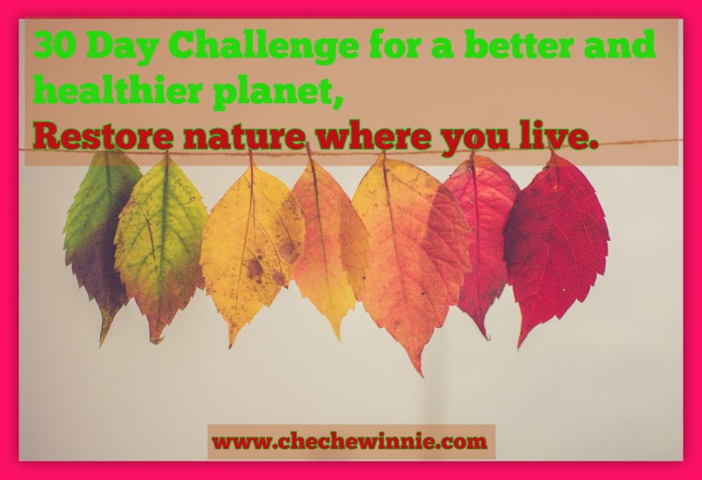 30 Day Challenge for a better and healthier planet, Restore nature ...
