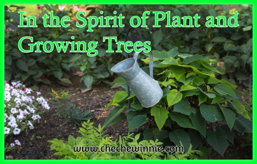 In the Spirit of Plant and Growing Trees - The Eco Advocate