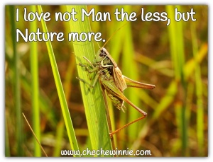 I love not Man the less, but Nature more. - The Eco Advocate