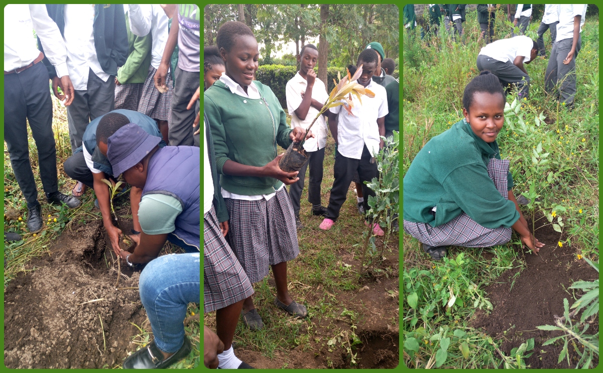 My Birthday Was Lit 🎊🎂🎁 - The Eco Advocate