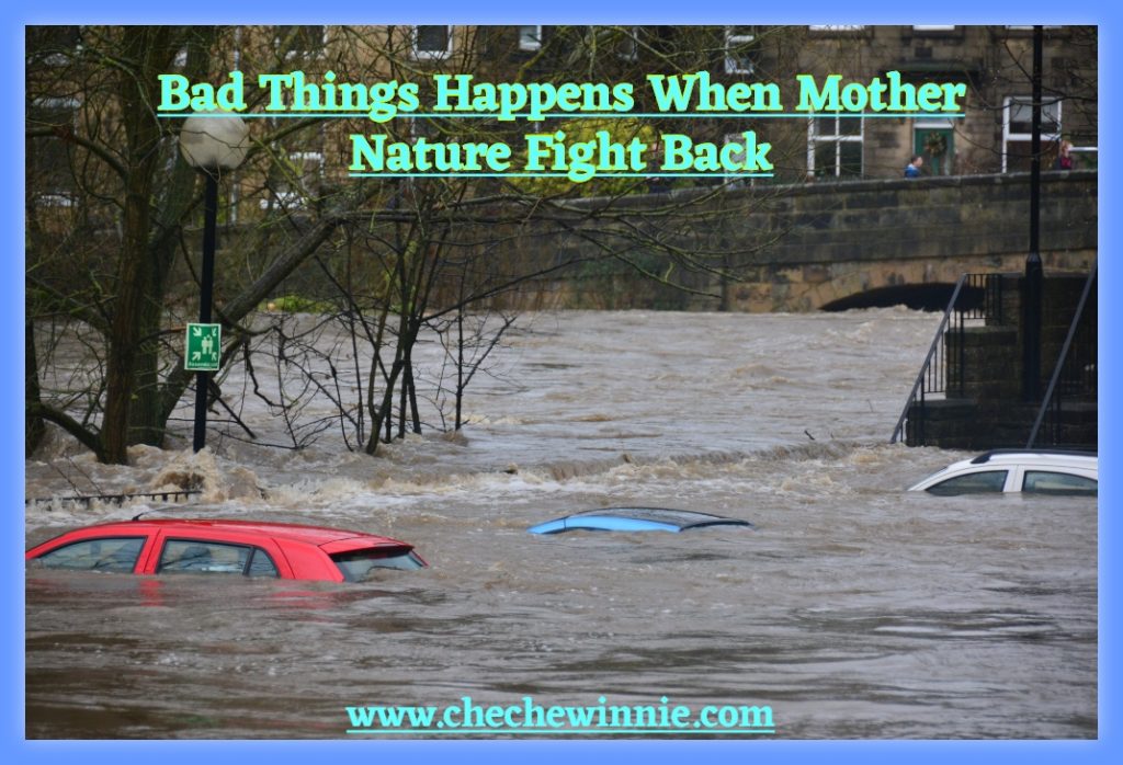 Bad Things Happens When Mother Nature Fight Back - The Eco Advocate