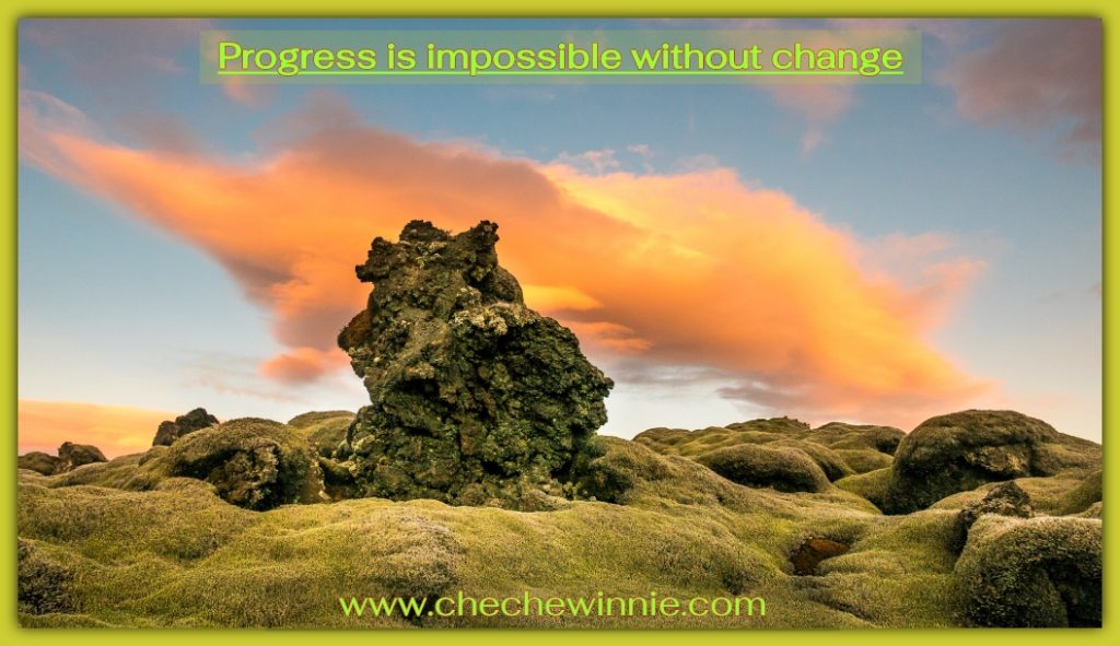 Progress is impossible without change - Cheche Winnie