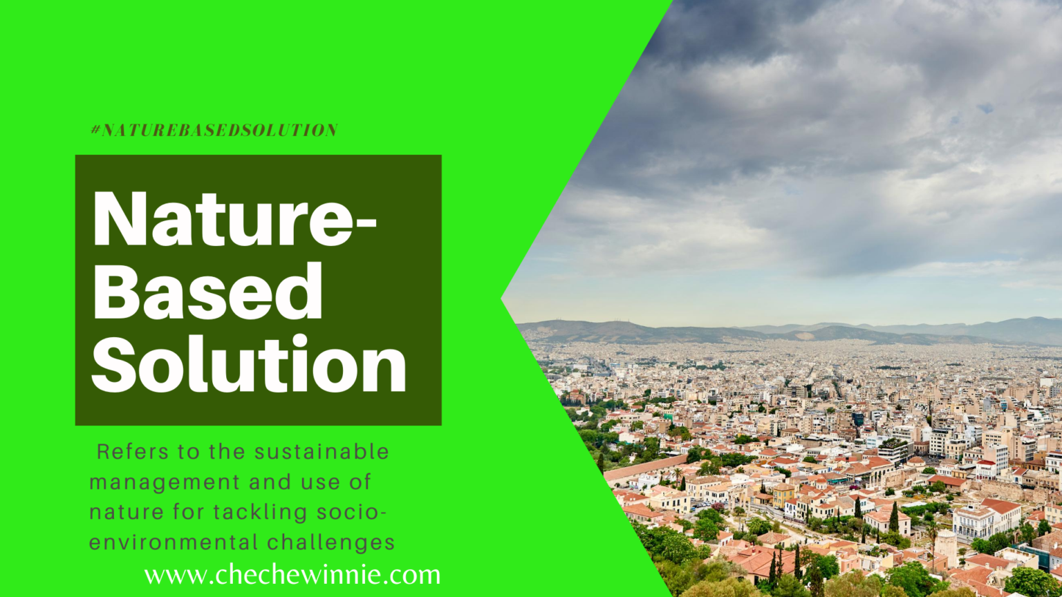Nature-Based Solution - The Eco Advocate