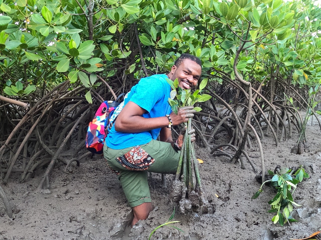 Happy International Day of the Conservation of the Mangrove Ecosystem ...