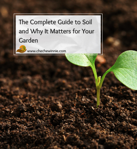 The Complete Guide to Soil and Why It Matters for Your Garden - The Eco ...
