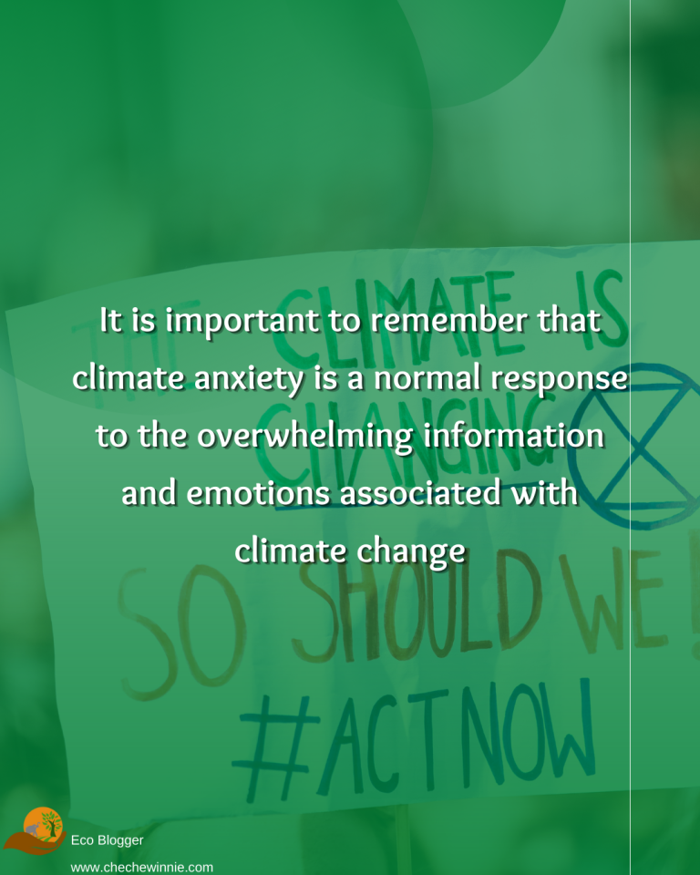 Climate Anxiety: Understanding and Managing the Impact on Young ...