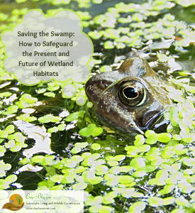 Saving the Swamp: How to Safeguard the Present and Future of Wetland ...