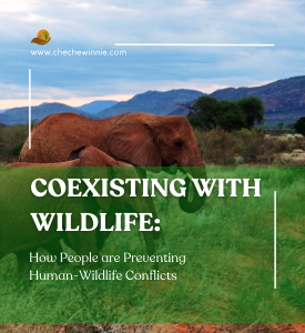 How People Are Preventing Human-Wildlife Conflicts - The Eco Advocate