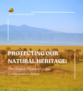 Protecting Our Natural Heritage: The Urgent Threats Facing Conservation ...