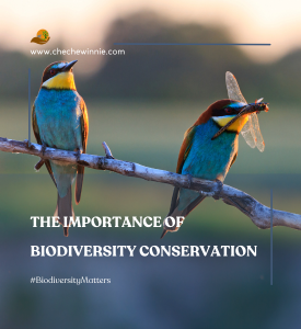 The Importance of Biodiversity Conservation - The Eco Advocate