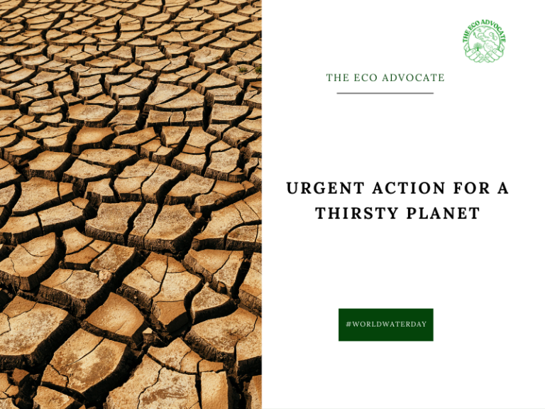 Home - The Eco Advocate