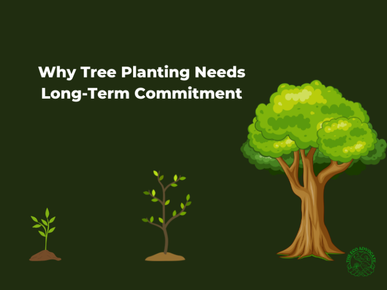 Why Tree Planting Needs Long-Term Commitment - The Eco Advocate