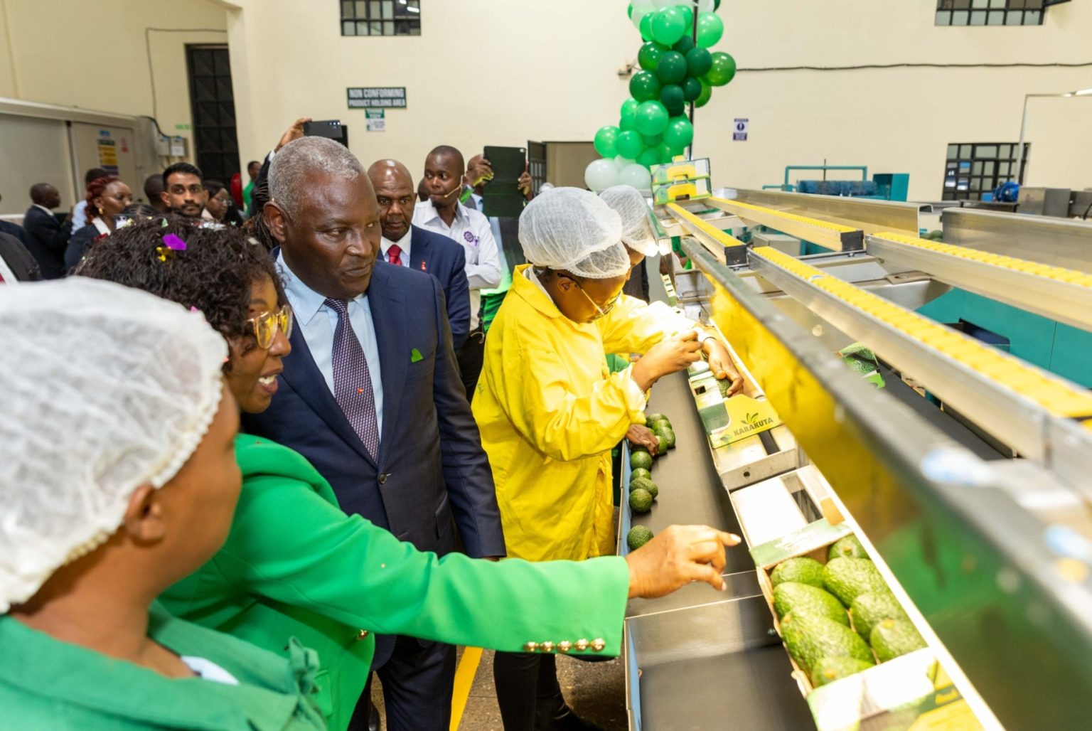 How One Woman is Transforming Avocado Farming in Kenya – A Model for ...